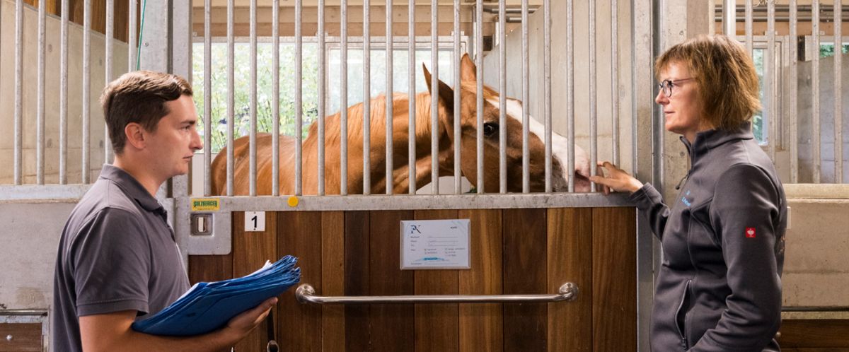 Blasensteine - Pferdeklinik an der Rennbahn
